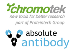 ChromoTek and Absolute Antibody Collaborate on Recombinant Engineered Antibodies